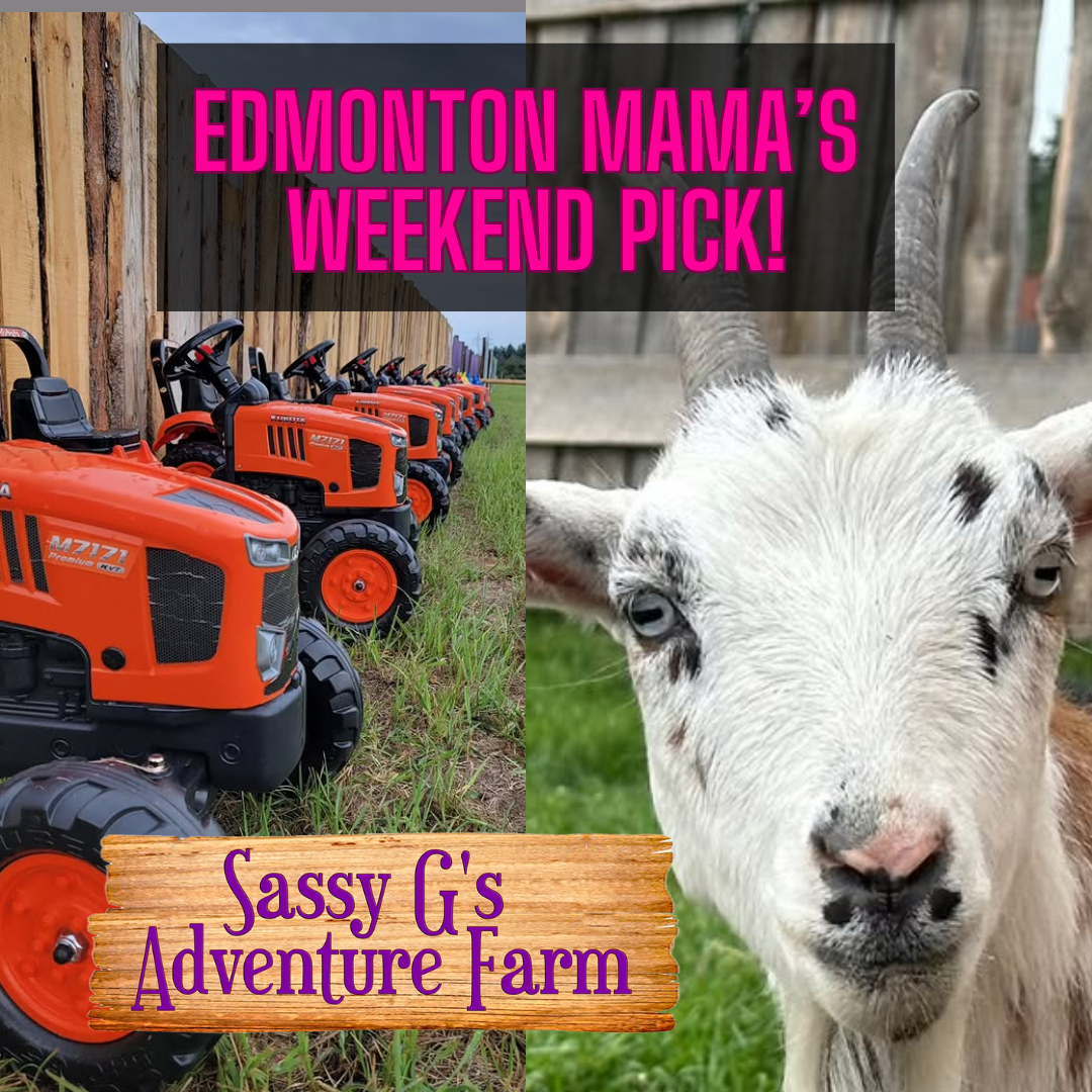 Edmonton Mama's Weekend Pick! Sassy G’s Adventure Farm!